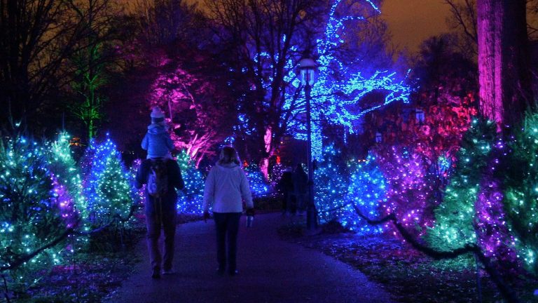 10th Anniversary of Garden Glow at the Missouri Botanical Garden