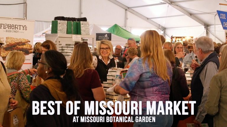 Best Of Missouri Market 2023